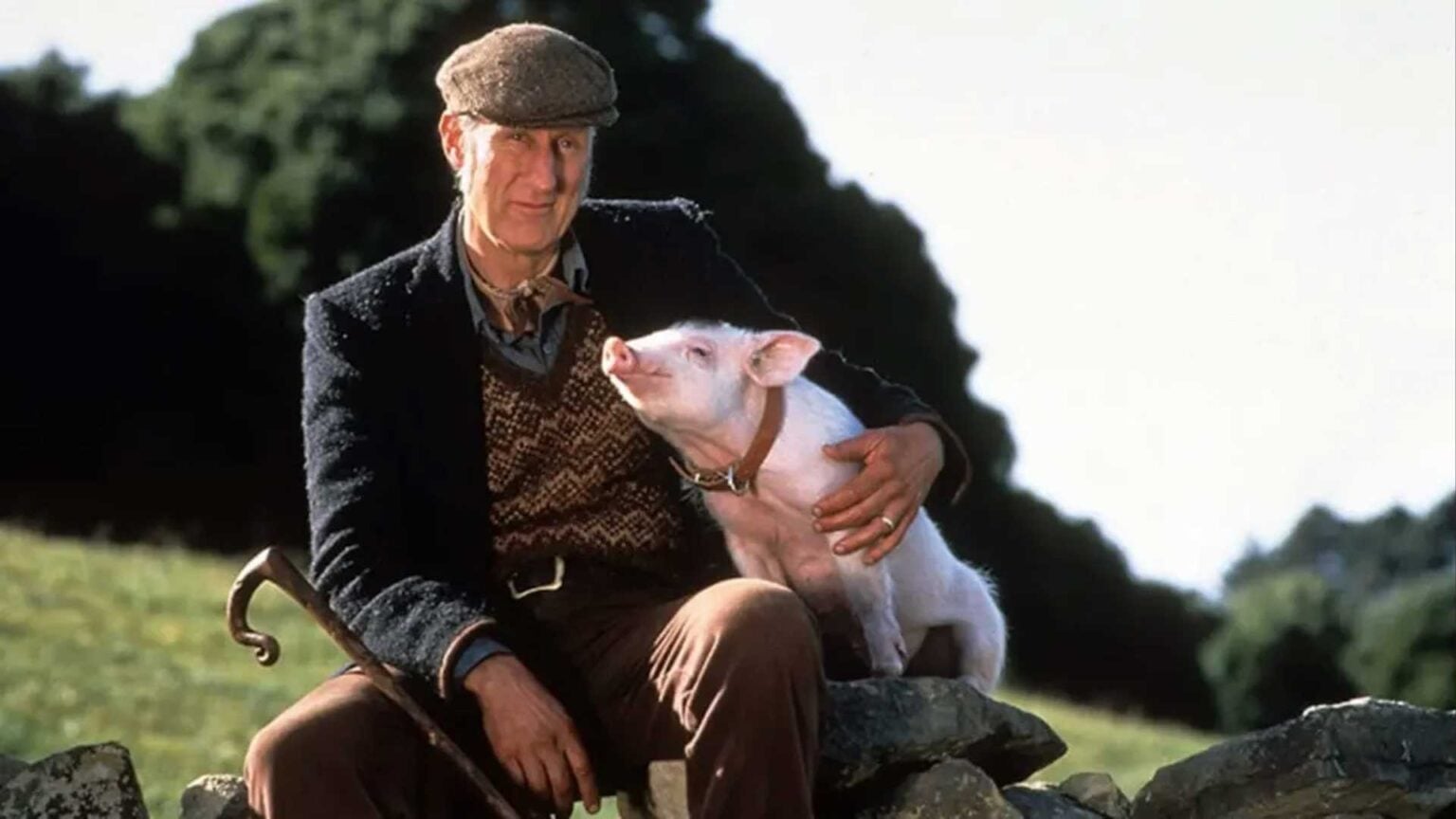 These 10 Movie Animals Became Bigger Stars Than the Humans - Lifestyle ...