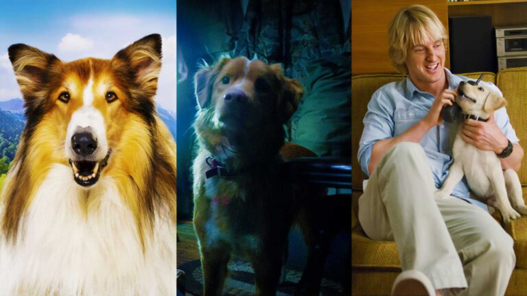 These 10 Movie Animals Became Bigger Stars Than the Humans - Lifestyle ...